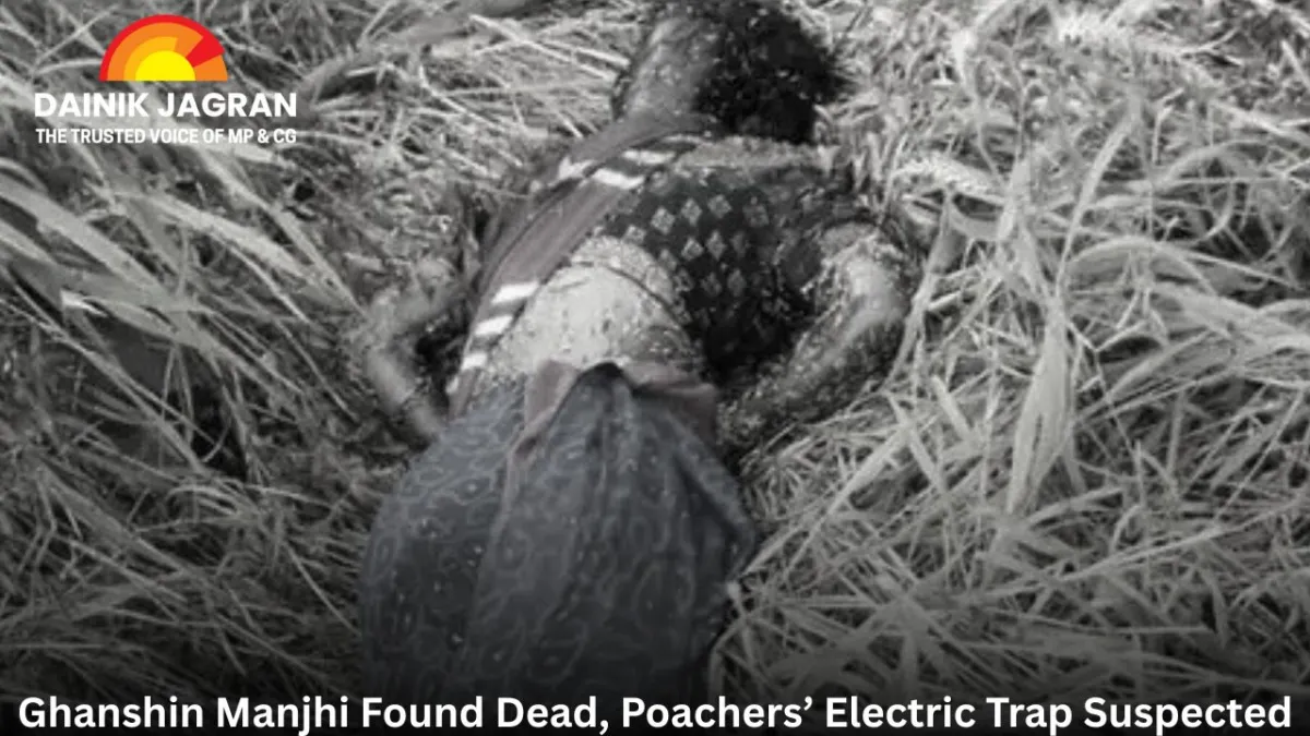 Woman Found Dead in Raigarh Forest, Suspected Electrocution from ...
