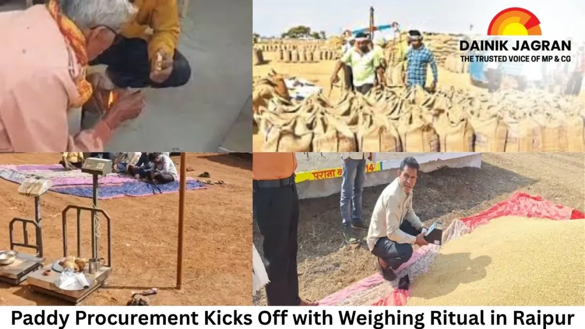 Paddy Procurement Begins... Launches with Weighing Ritual in Raipur ...