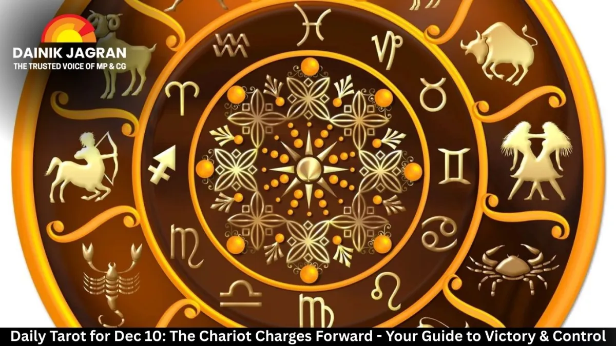 Daily Tarot for Dec 10: The Chariot Charges Forward - Your Guide to ...