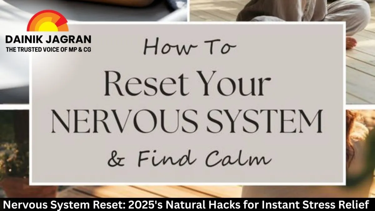 Nervous System Reset: 2025's Natural Hacks for Instant Stress Relief ...