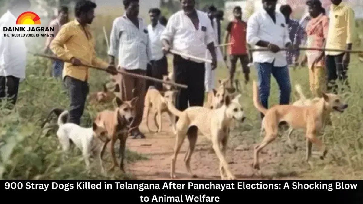 900 Stray Dogs Killed in Telangana After Panchayat Elections: A ...