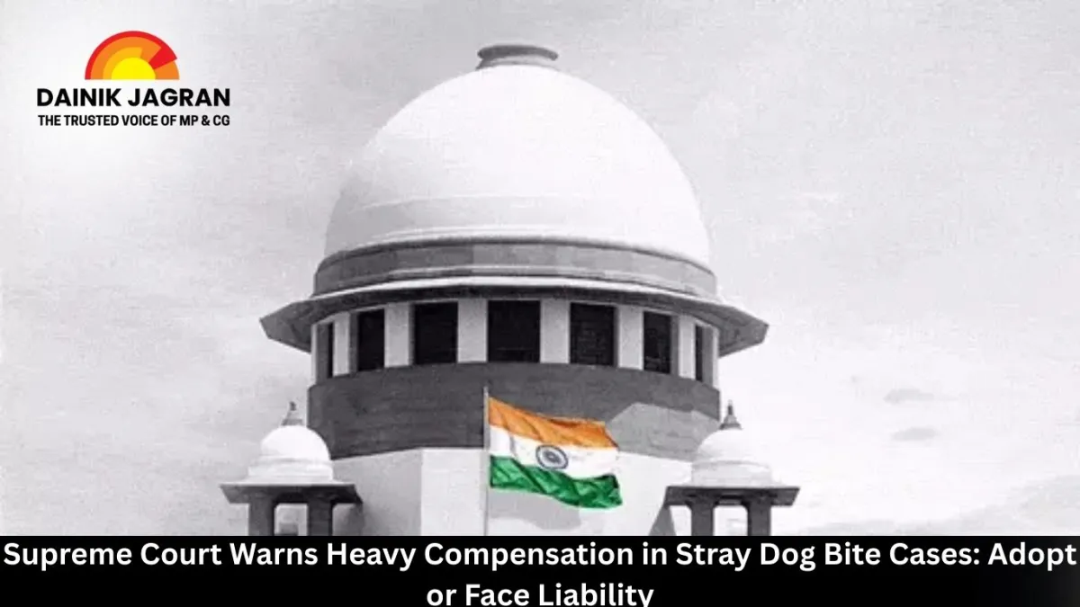 Supreme Court Warns Heavy Compensation in Stray Dog Bite Cases: Adopt ...