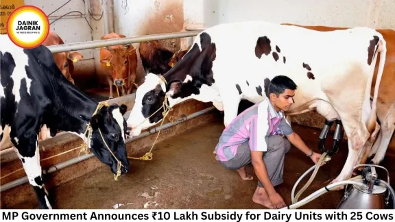 MP Government Announces ₹10 Lakh Subsidy for Dairy Units with 25 Cows ...