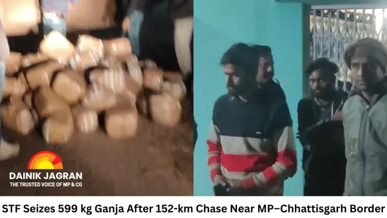 STF Seizes 599 kg Ganja After 152-km Chase Near MP–Chhattisgarh Border ...