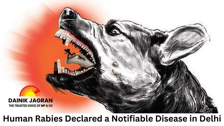 Human Rabies Declared a Notifiable Disease in Delhi; Health Authorities ...