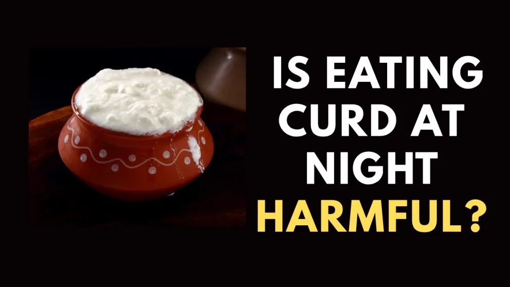 Is Eating Curd at Night Harmful? - Dainik Jagran English