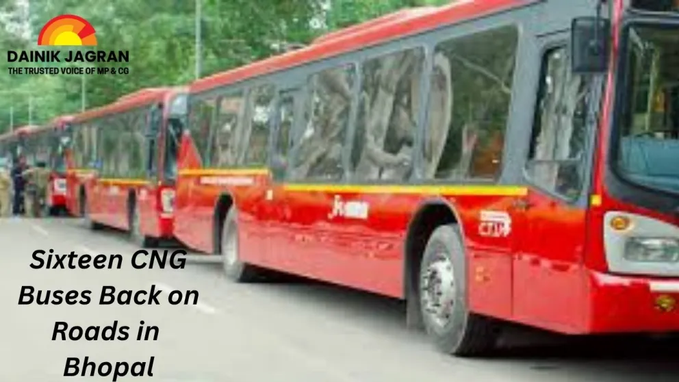 Sixteen CNG Buses Back on Roads in Bhopal, Partial Relief for Commuters ...