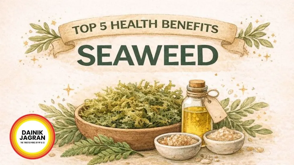 Marine Medicine: How ICAR-CMFRI's Seaweed Nutraceuticals Are ...