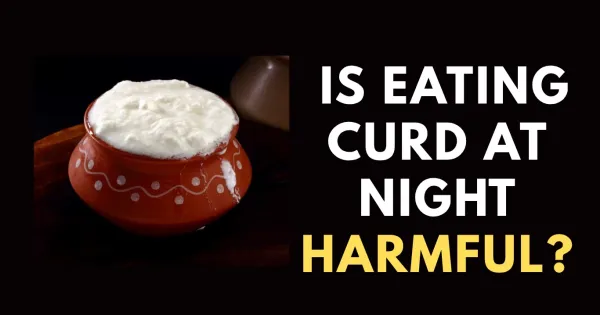 Is Eating Curd at Night Harmful? - Dainik Jagran English
