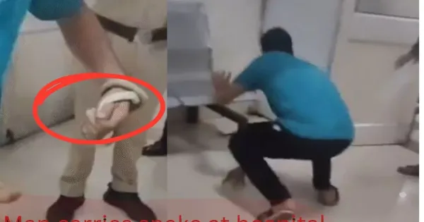 Man carries live snake to the hospital in Ujjain; after being bitten by ...