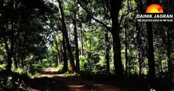 Supreme Court's Historic Directive: Declare Jharkhand's Saranda Forest ...