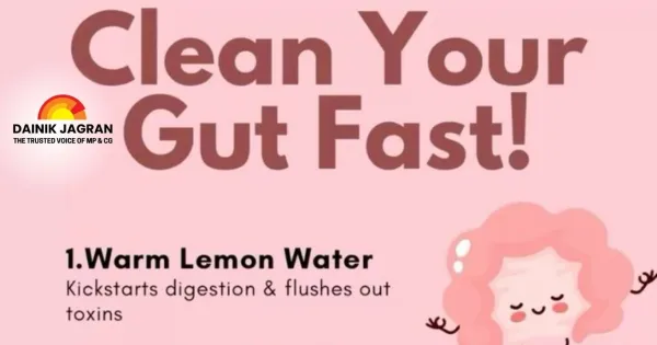 Gut Health Hacks: Natural Ways to Improve Digestion and Boost Immunity ...