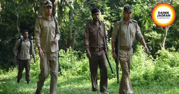 UP Forest Guard Recruitment 2026 Notification Released for 708 Posts ...